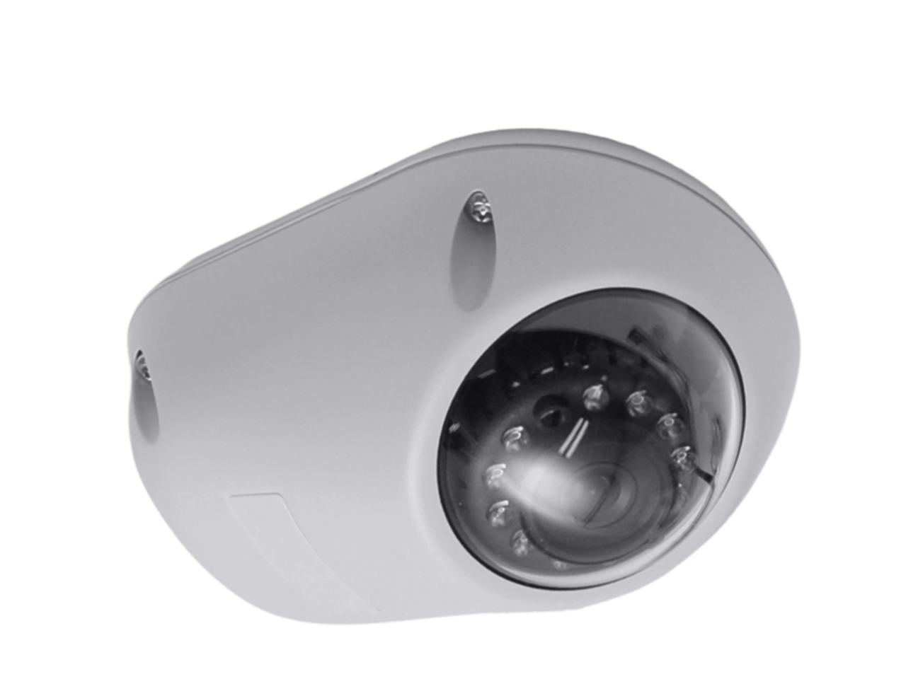 Luminator – Technology Solutions - Transit Marketing Group